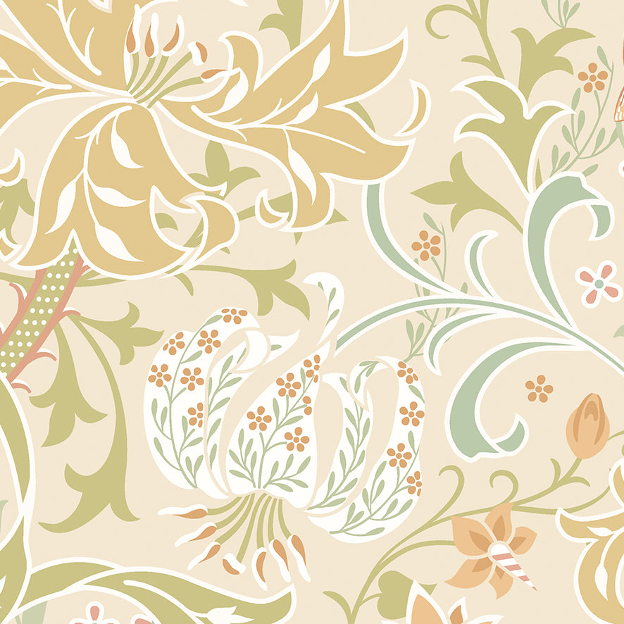 TRAILING LILY - Buttercup – Origin Murals